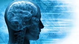 CSET/CBEST Exams & CSET/CBEST Exam Test Prep | Study.com